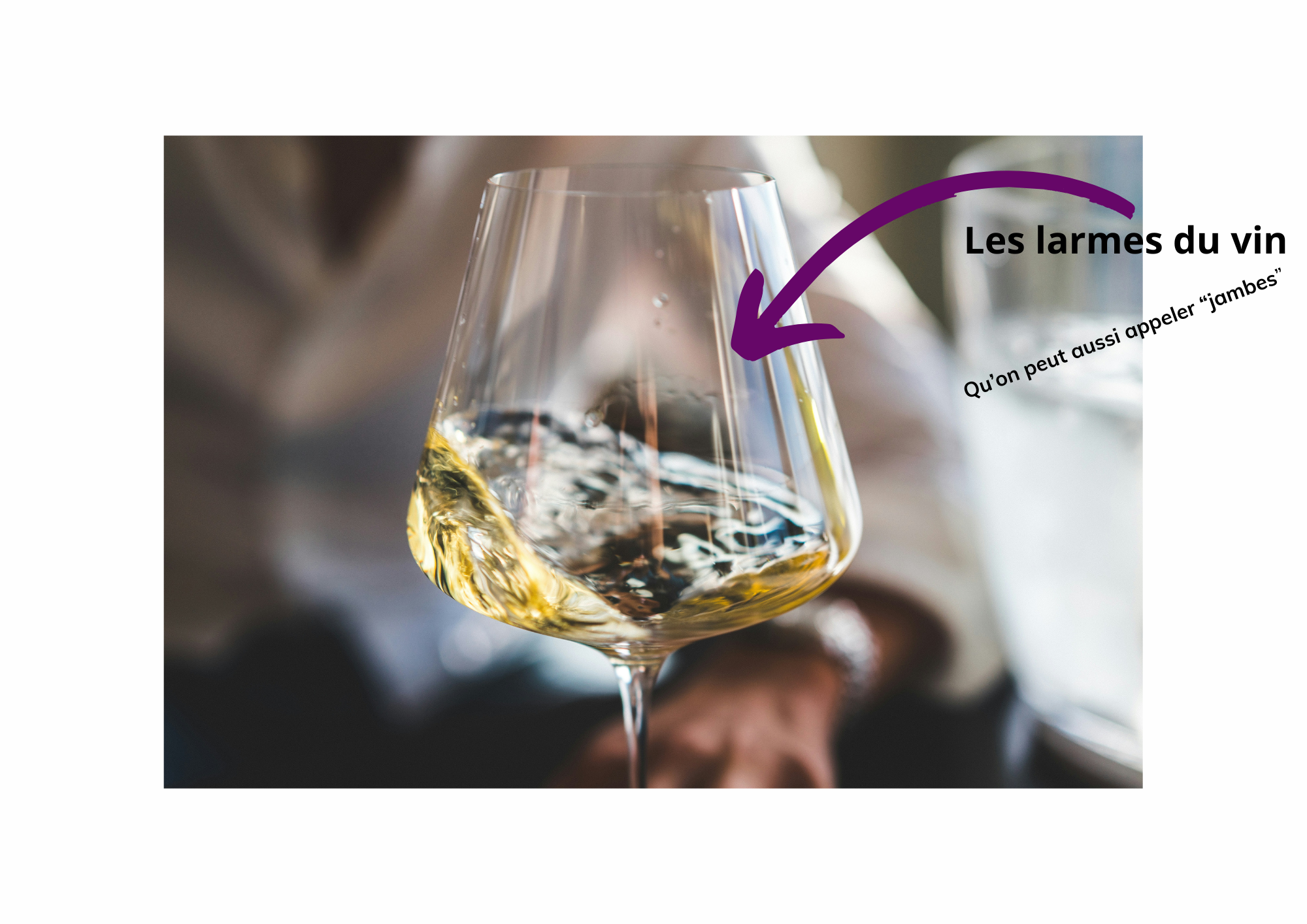 Apprendre à déguster le vin et rédiger des notes de dégustation